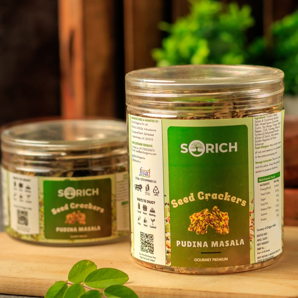 Pudina Seeds Cracker – Crispy & Healthy Snack with Pudina Masala Twist ...