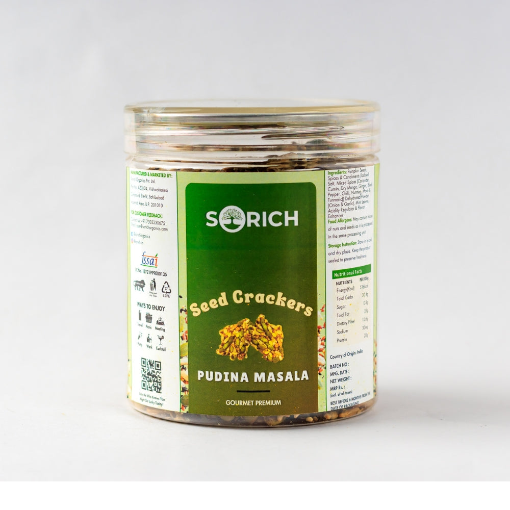Pudina Seeds Cracker – Crispy & Healthy Snack with Pudina Masala Twist ...